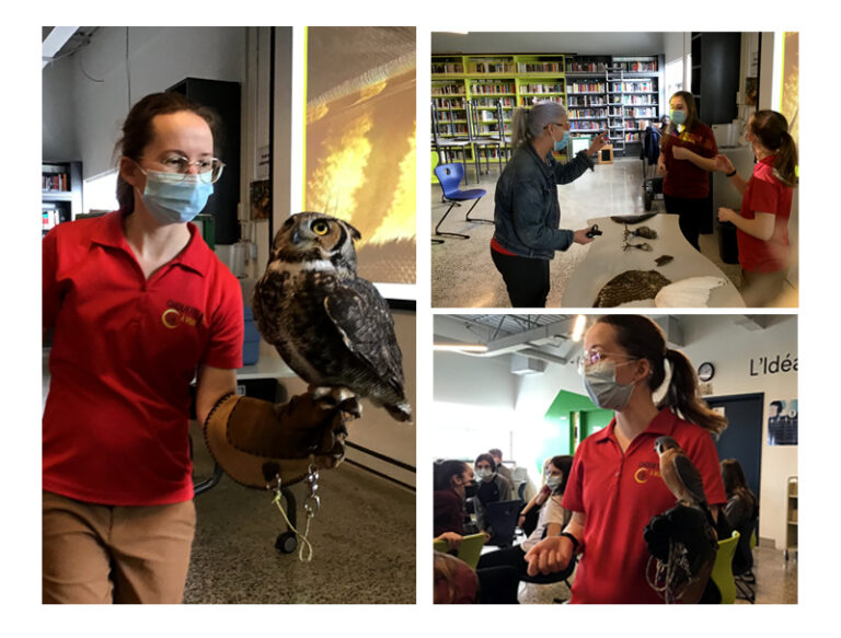 Un atelier sur les oiseaux de proie - Collège Charles Lemoyne